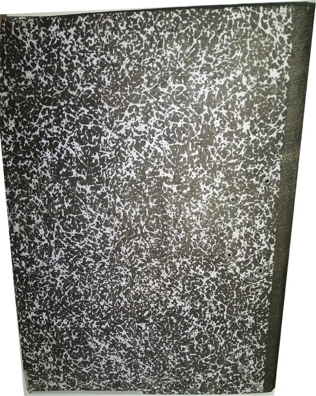 Korona Box File (10 Pcs) | Daraz.pk