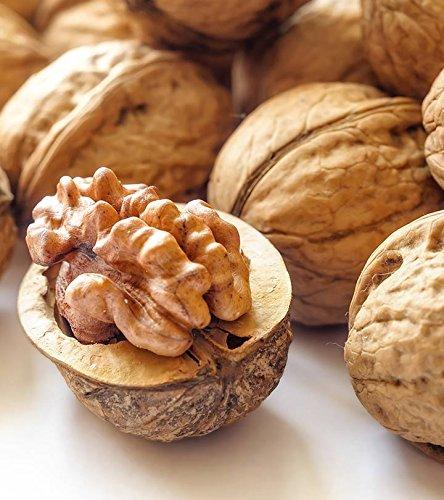 Whole Walnut (Akhrot Sabut) - 1000 gm Best Quality | Daraz.pk