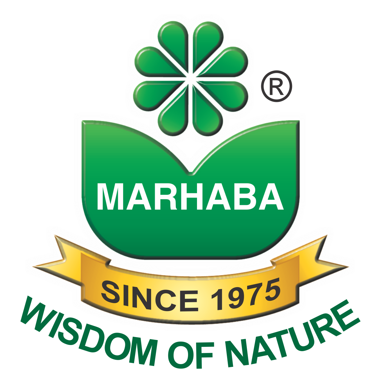 Shop online with Marhaba now! Visit Marhaba on Daraz.