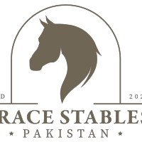 Grace Stables | Daraz PK