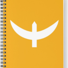 Shop online with QAI QABILA now! Visit QAI QABILA on Daraz.