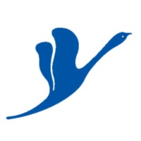 Smart Flamingo Pakistan: Official Online Store - Daraz.pk