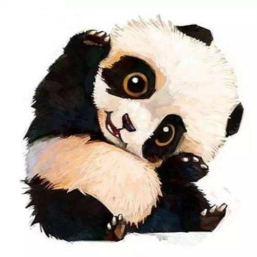 Shop online with panda online now! Visit panda online on Daraz.