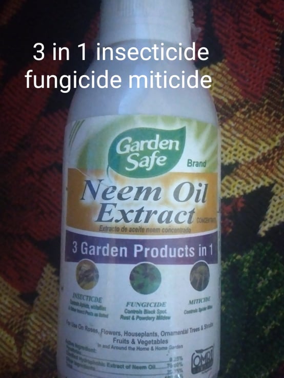 Garden Safe Neem Oil Extract Mixing Instructions | Fasci Garden