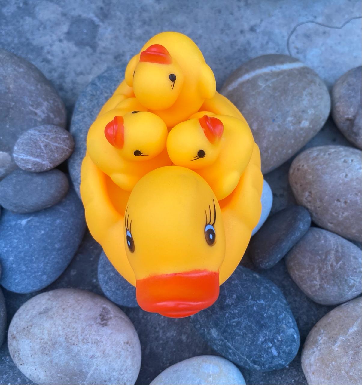 Floating/Rubber/Duck/and/3/Chicks/Toys/Family/4 Pcs/Soft/Rubber/Mother ...