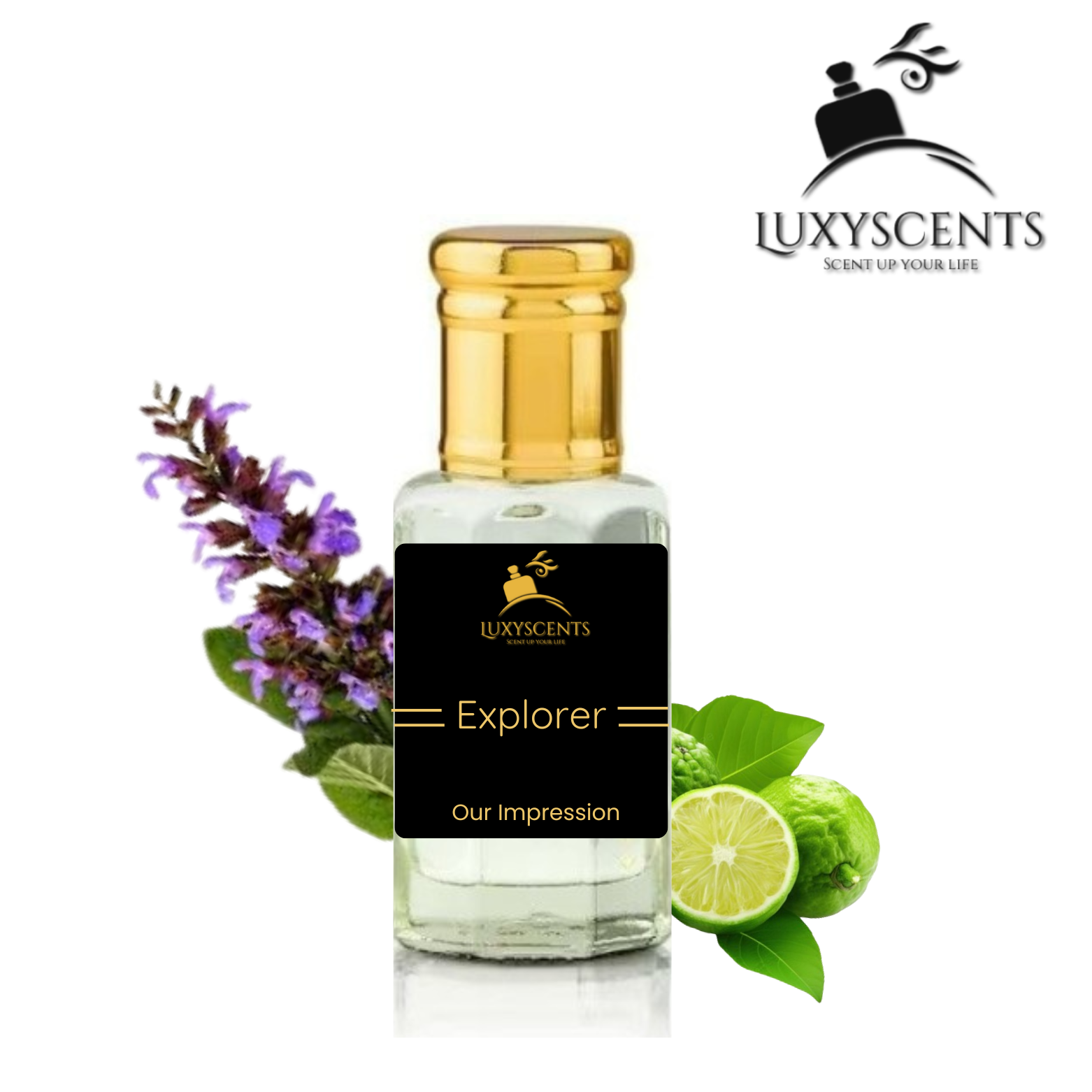 Explorer - Fragrance for Men - Long Lasting - Quality Fragrance ...