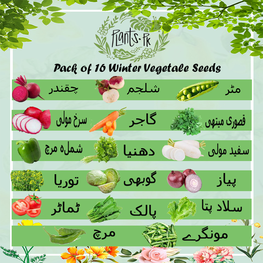 Pack of 10 Winter Vegetable Seeds | Daraz.pk