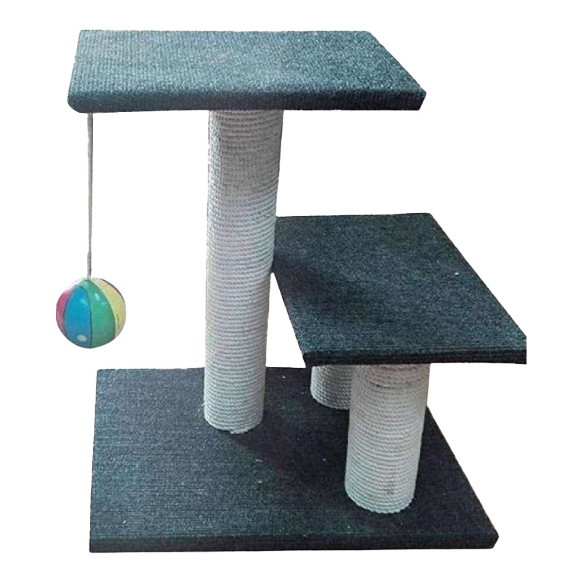 Daraz Cat Accessories at Brodie Eldershaw blog