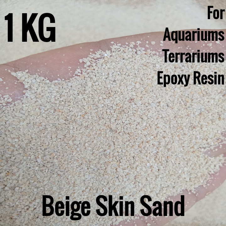 Roohan Trading - Beige Skin Sand - Sea Sand - Best for Planted and ...