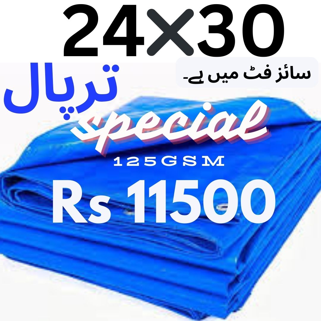 Waterproof Tarpal (Tarpulin)/Plastic Tarpal (All custom sizes available ...