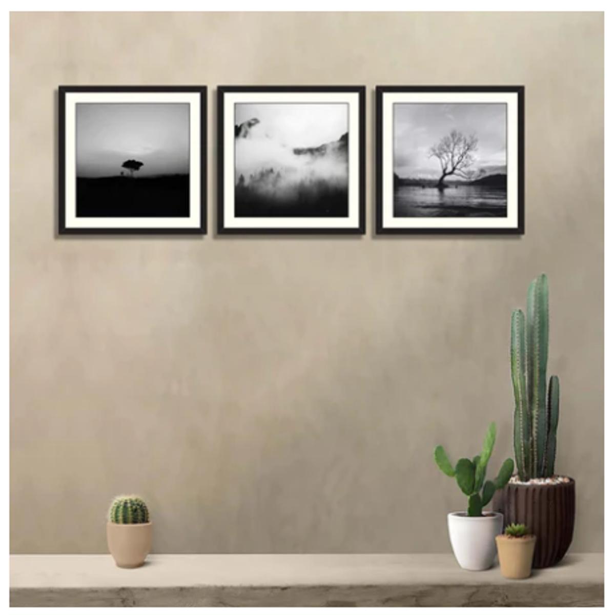 Beautiful Nature Frames