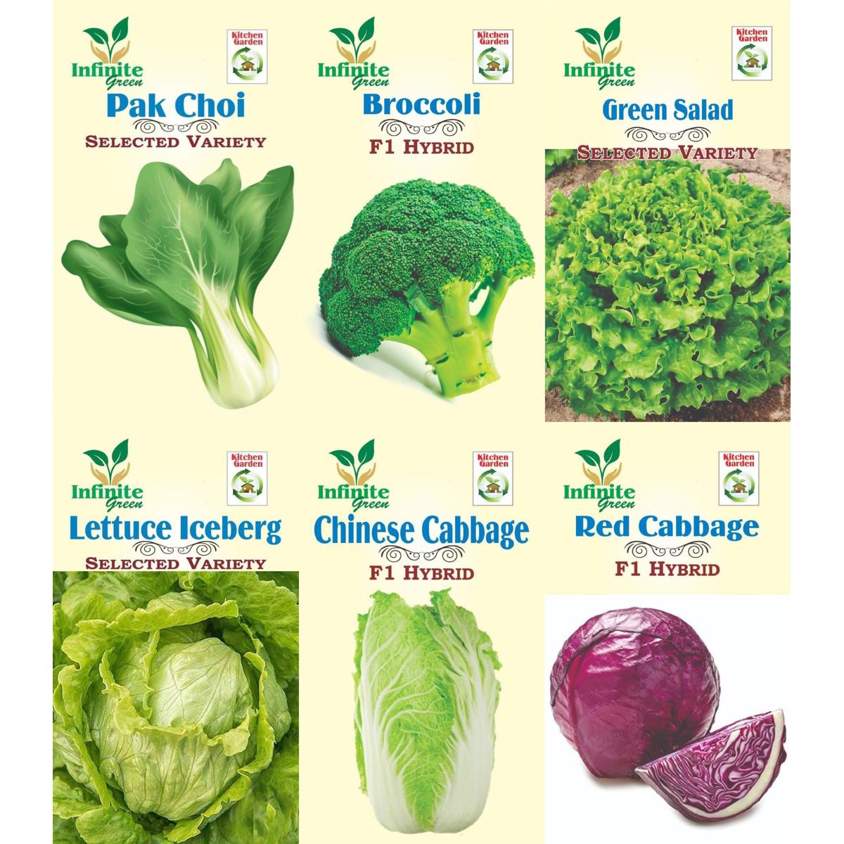 PACK OF 6 PACKET BROCCOLI, ICE BERG, PAK CHOI GREEN SALAD RED CABBAGE ...