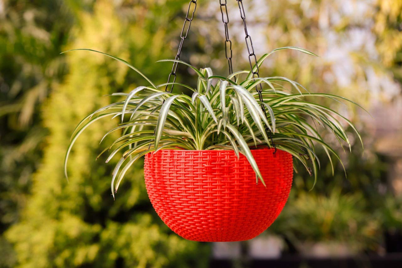 Go Hooked Multicolor Round Rattan Woven Plastic Flower Hanging Planter ...