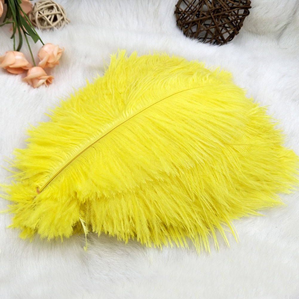 Ostrich Feather | Daraz.pk: Buy Online at Best Prices in Pakistan ...