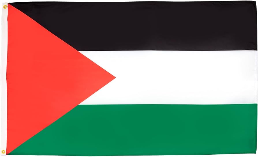 Big Size Palestine Flag (4.5x6 Fit ) Premium Quality Palestine Flag ...