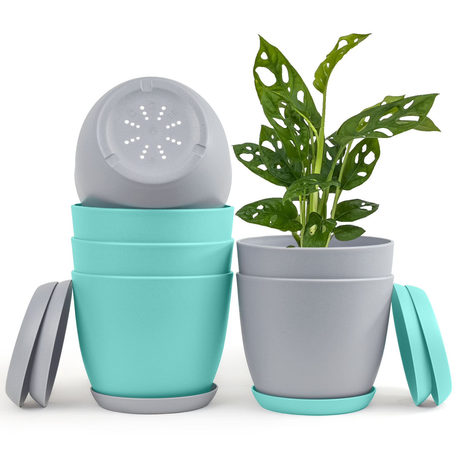 Fast Forward Extra Large Plant Pots: Two Vibrant Colors, Drainage ...