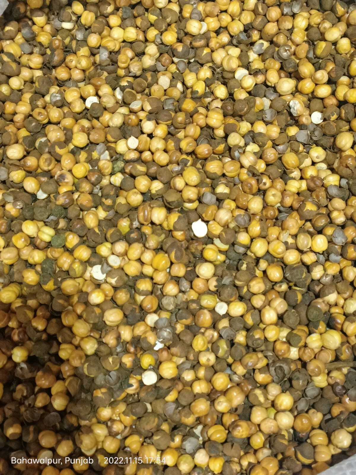 chany/cholay 500GM | Daraz.pk