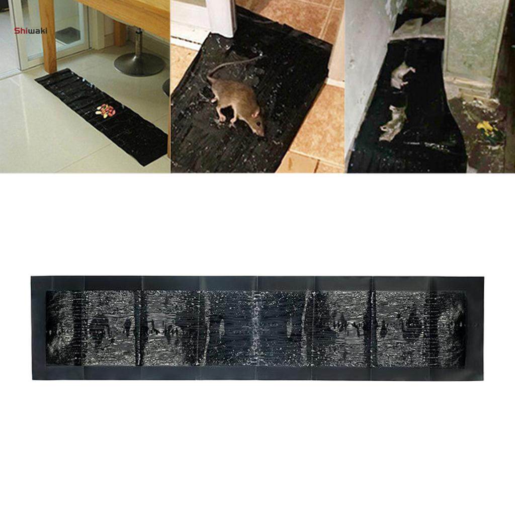 Sticky Rat Mouse Glue Traps for Trapping Spiders Roaches & Other ...