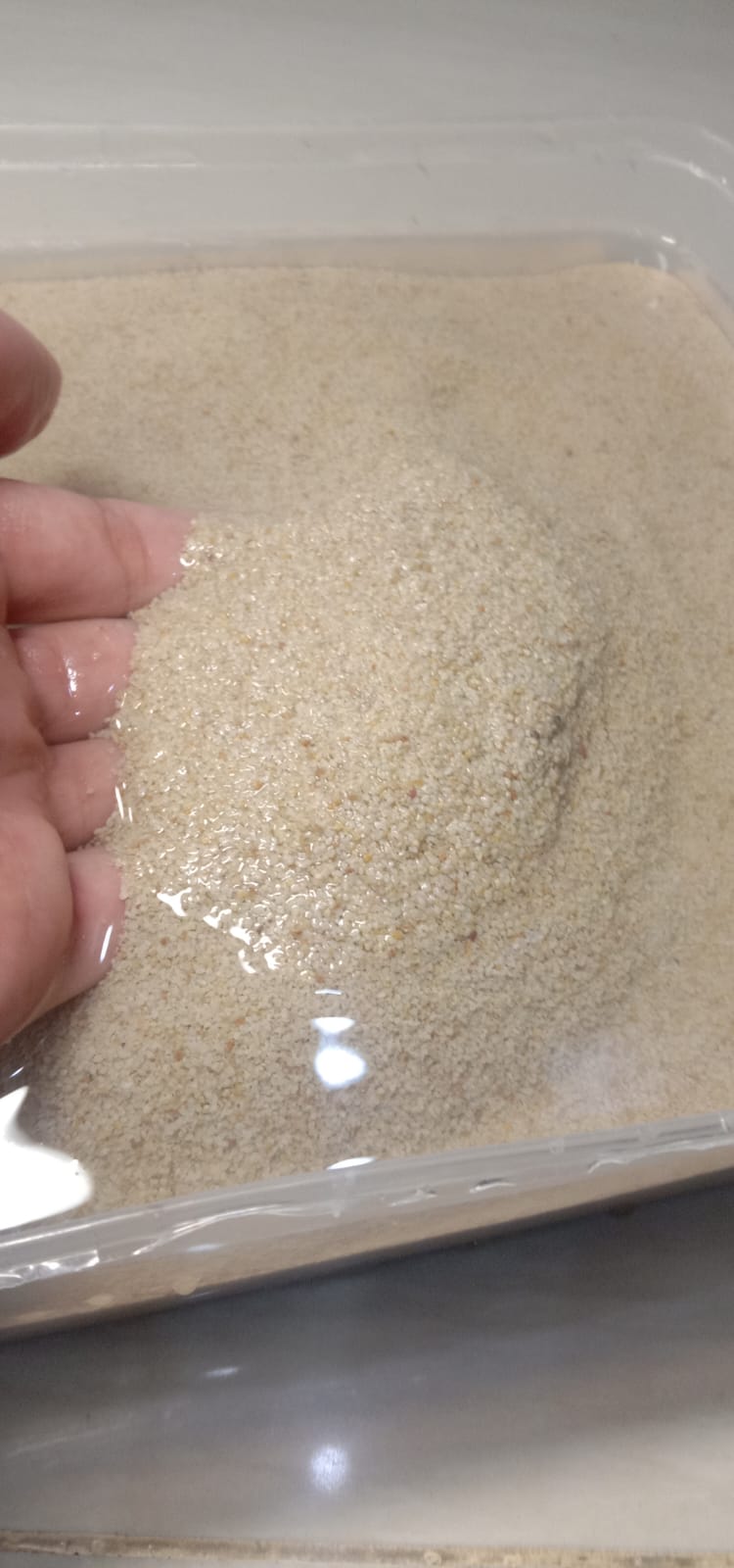 White Sand Natural Aquarium Coarse Substrate 10lbs 25lbs