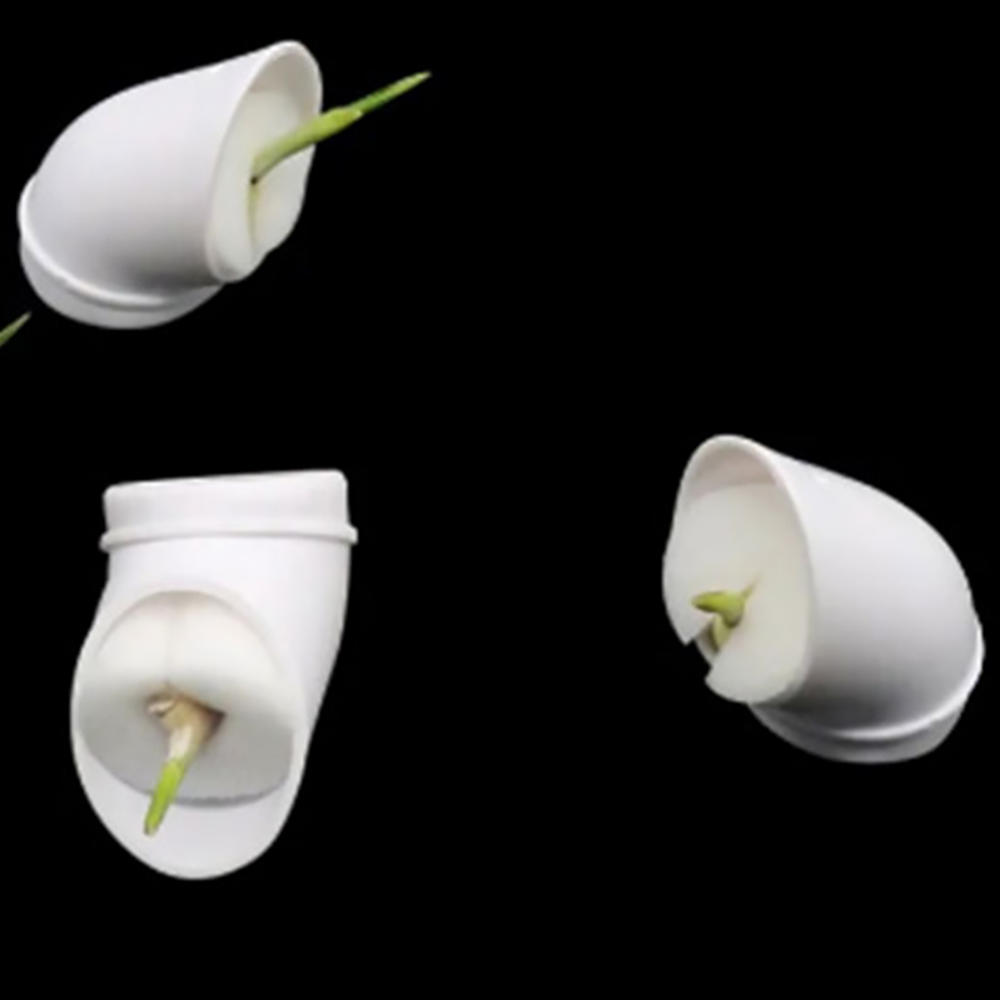 Weather-Resistant Cultivation Cups And Sponges Efficient Modular ...