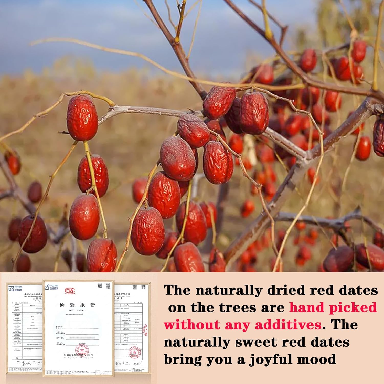 Jujube Date 300g Dried Red Dates Fruit Jujubes Health Snack Dried Fruit ...