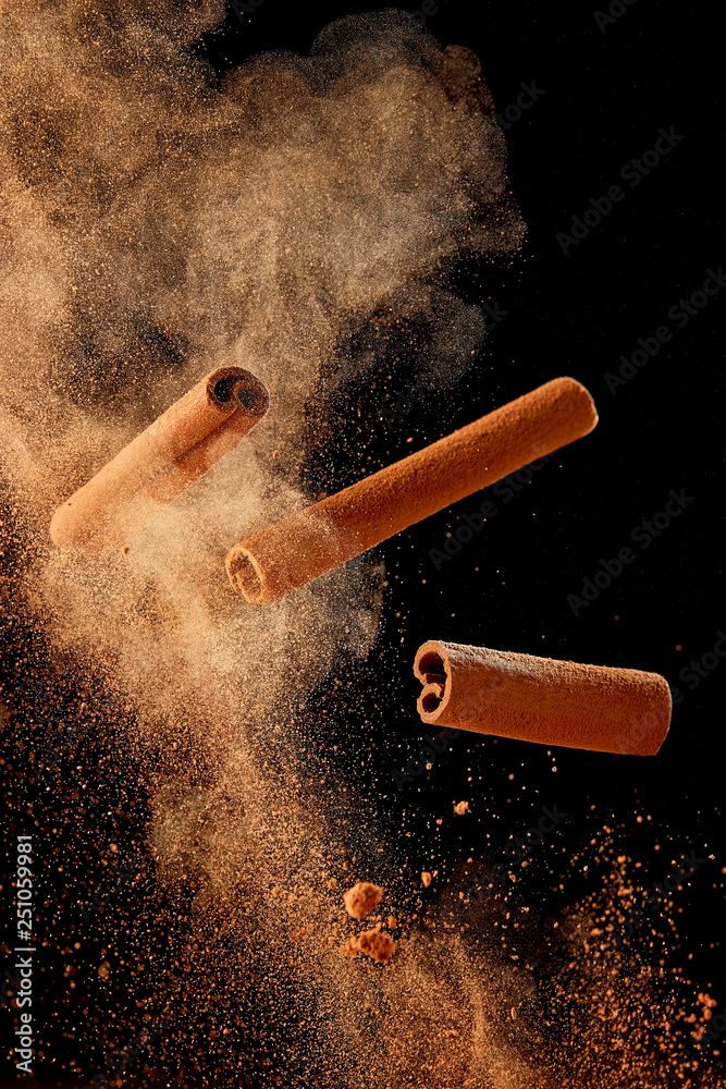 Dar Chini (Ceylon Cinnamon Sticks) – Sri Lanka VIP Export Quality 500g ...