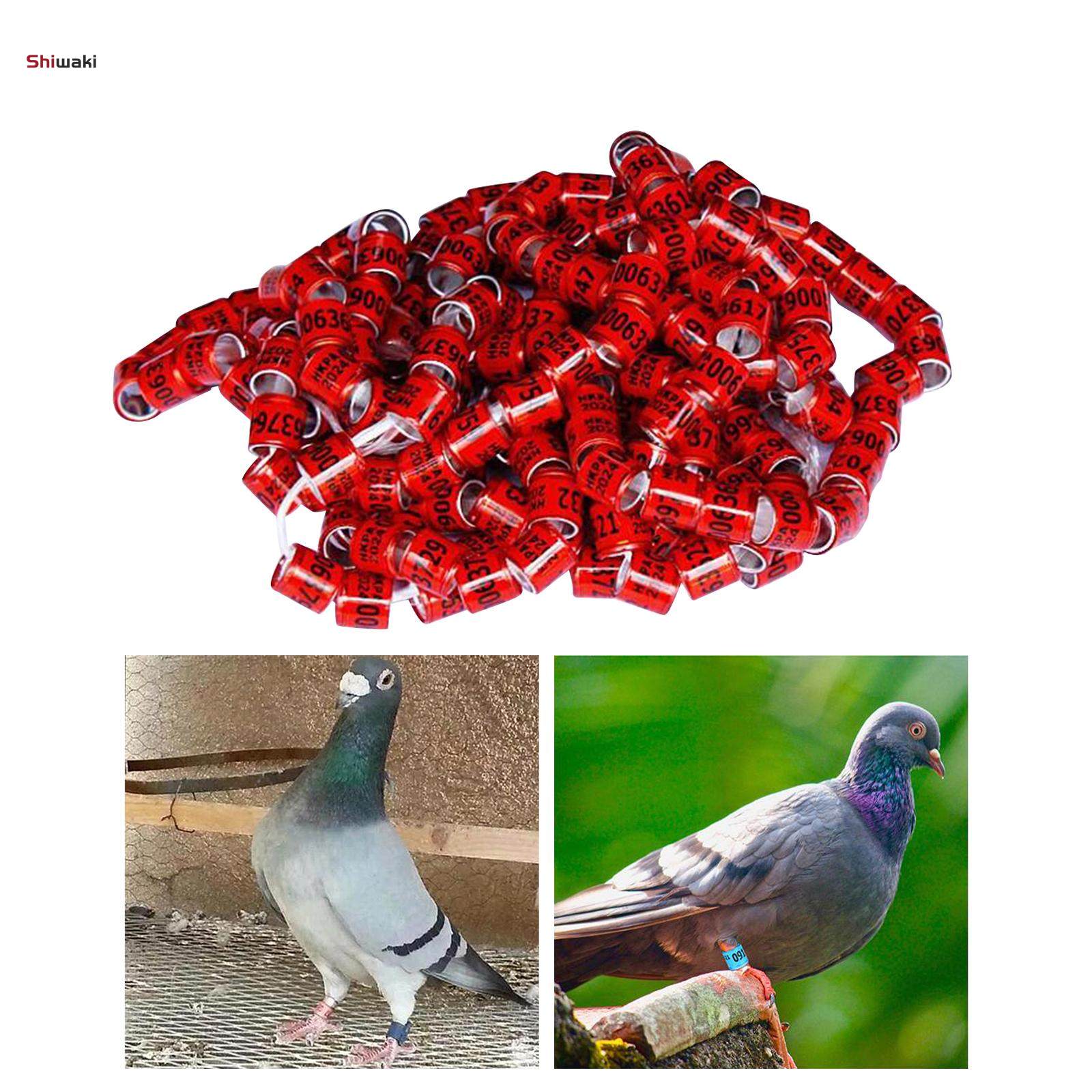 100 Pieces Pigeon Dove Leg Rings 2024 Identify Bands Sturdy Birds Foot ...
