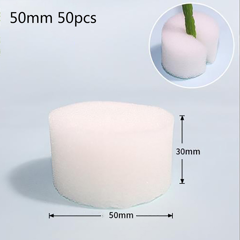 50Pcs/Pack Eco-Friendly Sponge Cubes Hydroponic Grow Media Soilless ...