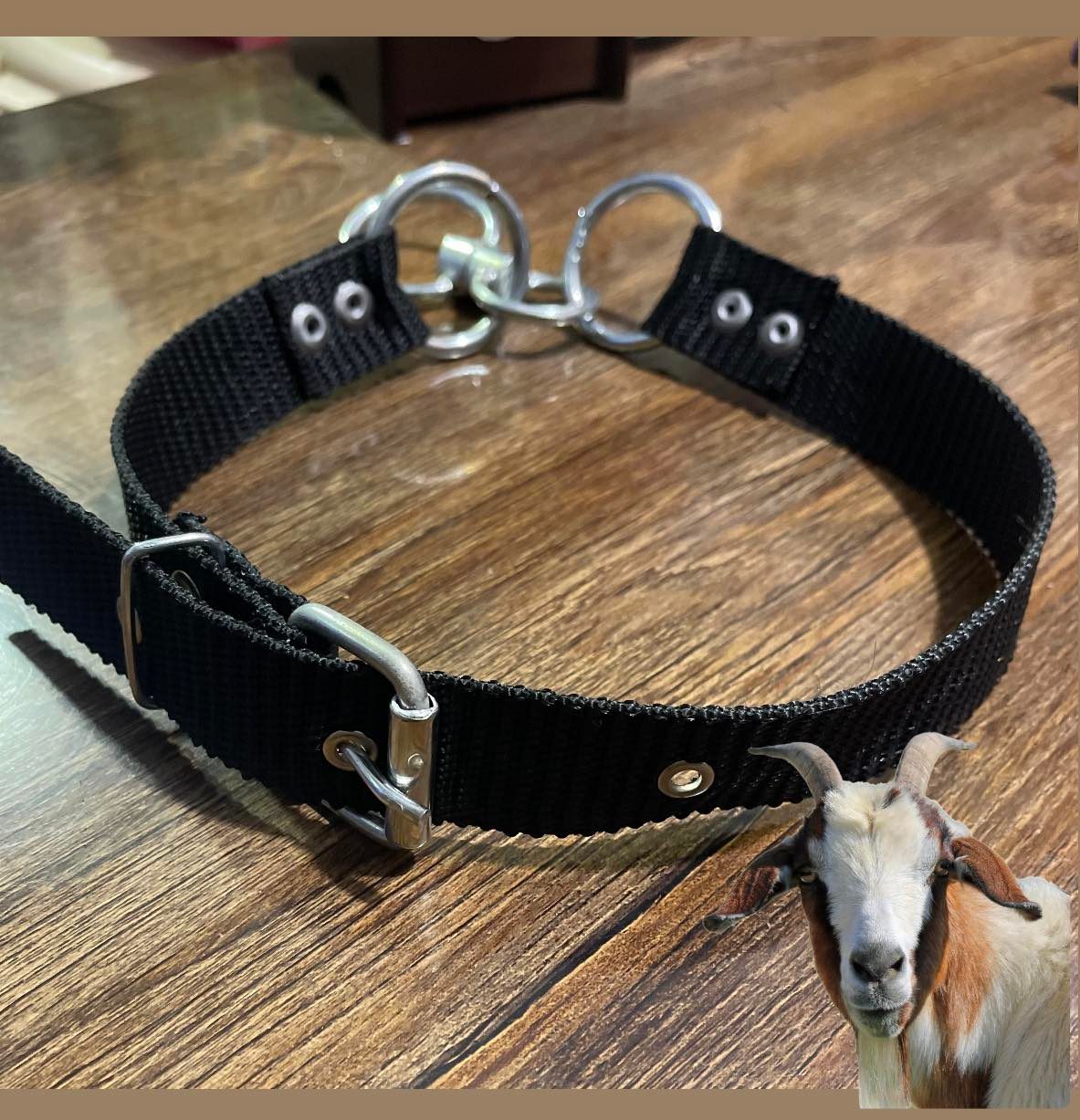 Goat / Sheep Neck Strong Collar ( Color Choice ) | Daraz.pk