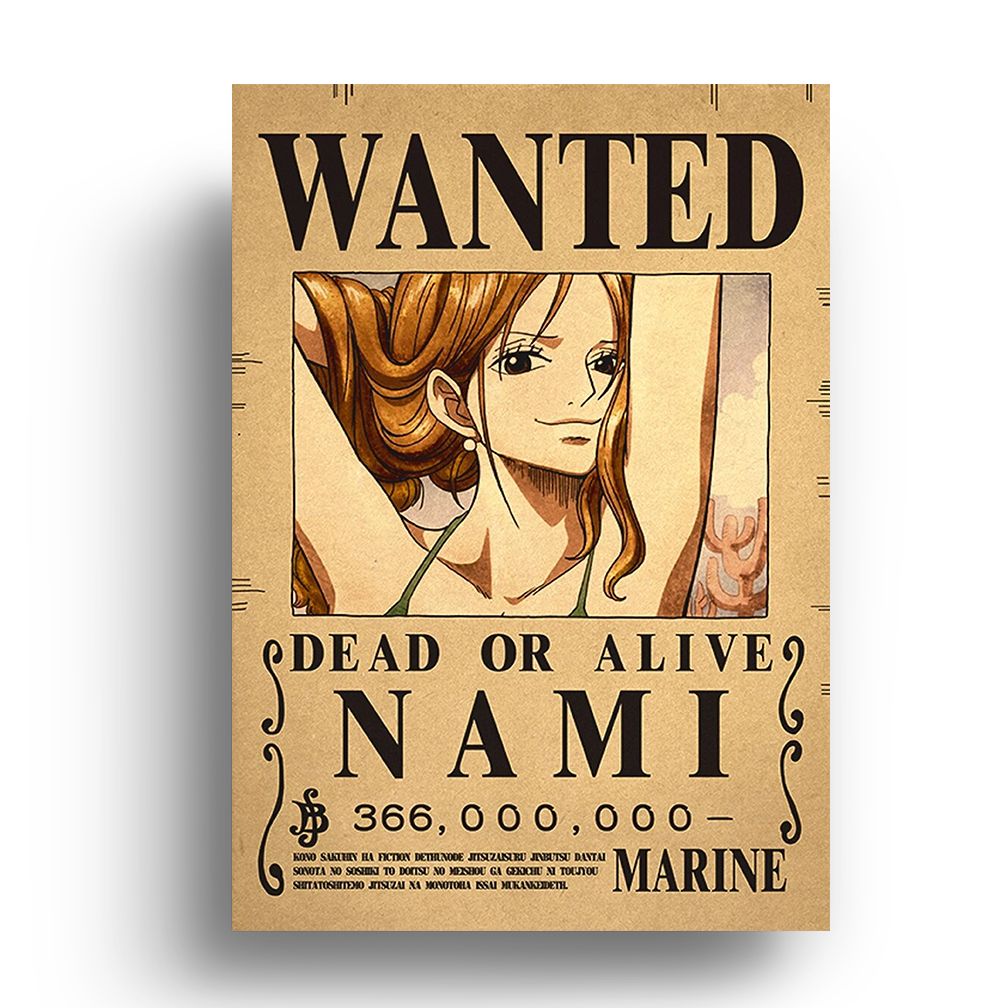 Nami wanted poster one piece | Daraz.pk