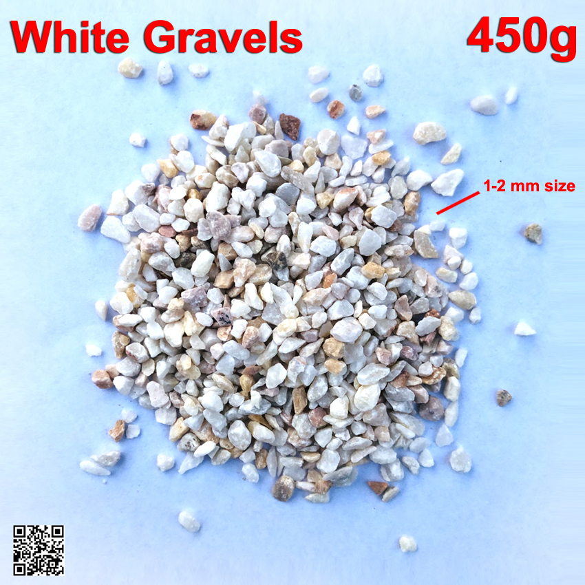 Buy Fish at Best Price in Pakistan - (2023) - Daraz.pk