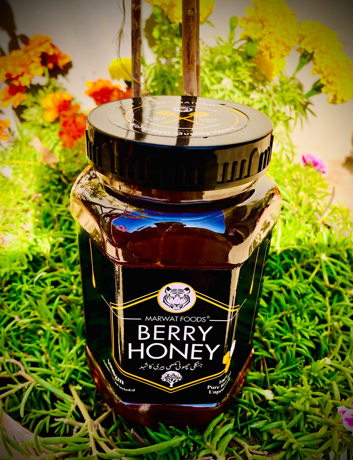 Lab Tested 1000g Small Bee Forest Berry/Sidr Honey 100% Pure Not Farmi ...