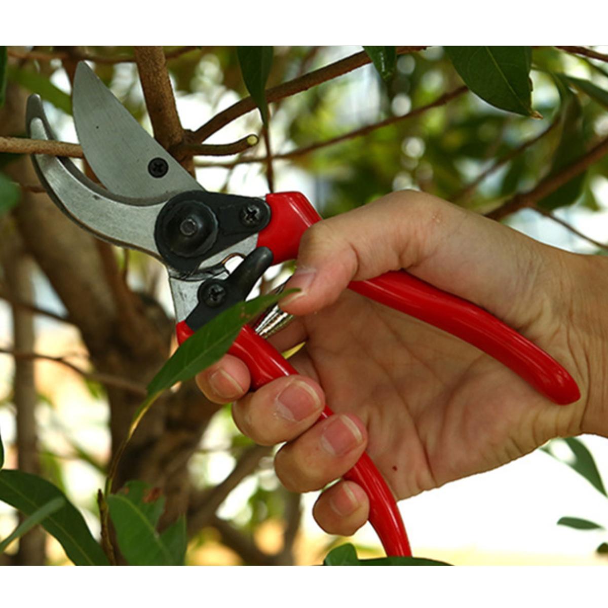 Tijeras de podar clásicas/herramientas de tijeras de podar DIY modelo ...