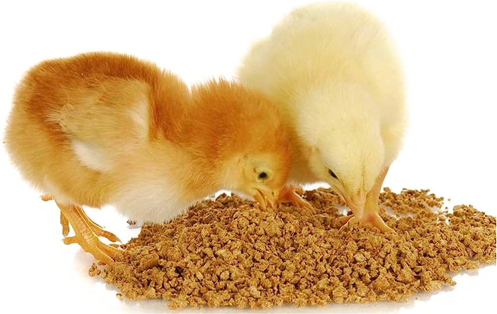 Poultry Feed - Baby Chicks, Chicken Zero Number Feed Baby Hen - 5 KG ...