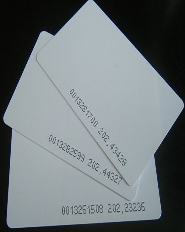Pack of 10 RFID_ Cards For Biometric_ System RFID cards 125kHz ...