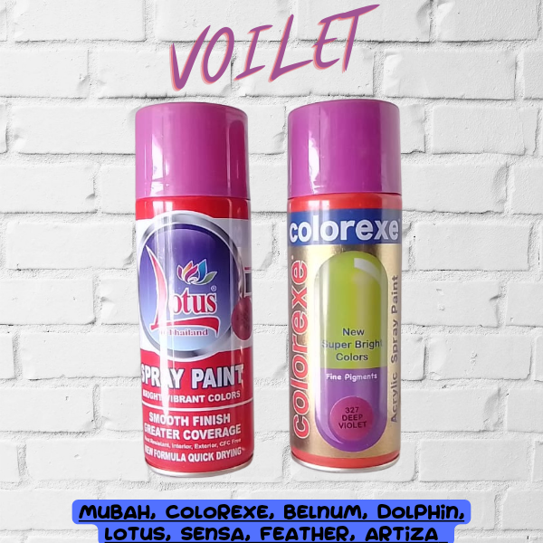 Spray Paint For Multi Purpose Use DIY Painting | Daraz.pk