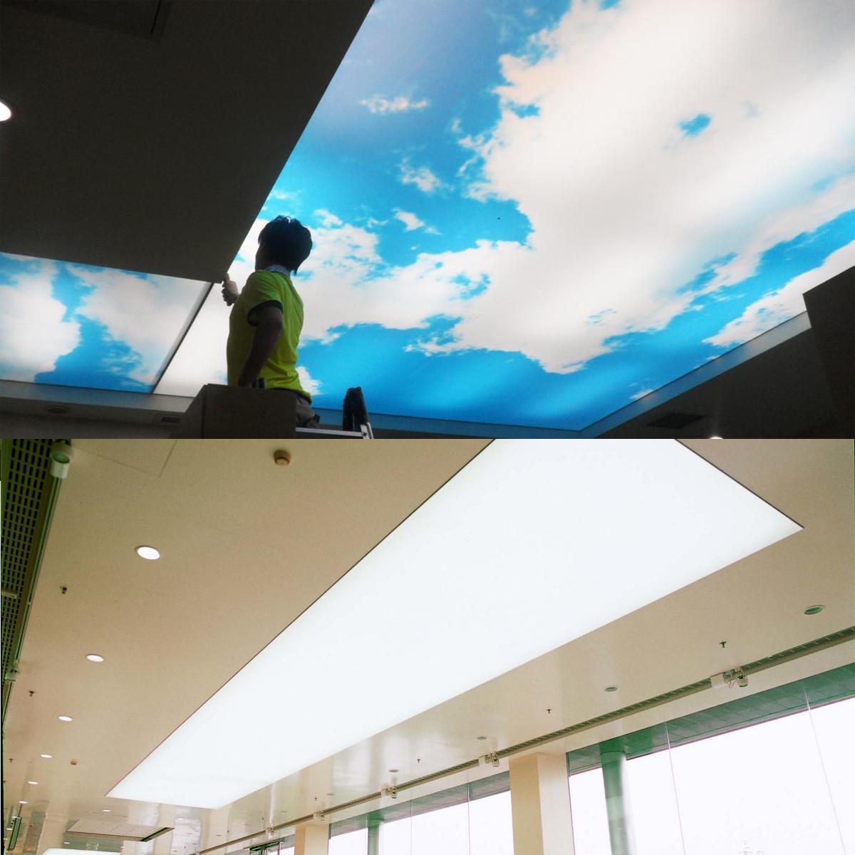 Ceiling Tile Lifter Puller Remover Extractor | Shelly Lighting