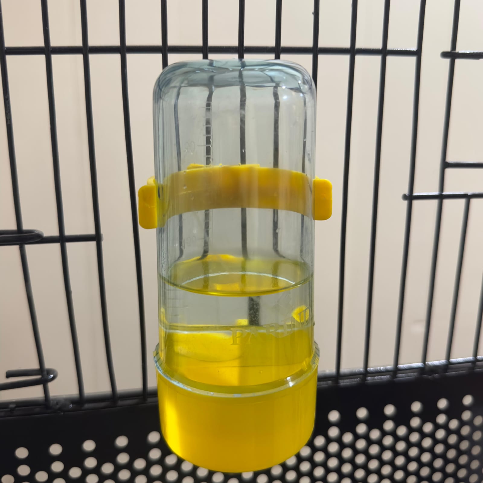 Bird Water Drinker 250ml , Parinda Water Drinker, Water Drinker, Parrot ...