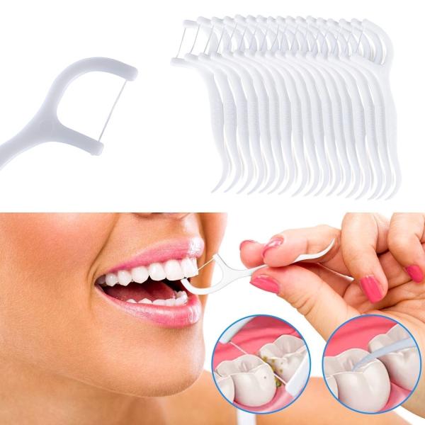 30Pcs Dental Floss Sticks & Tooth Picks Teeth Plaque Remover ...