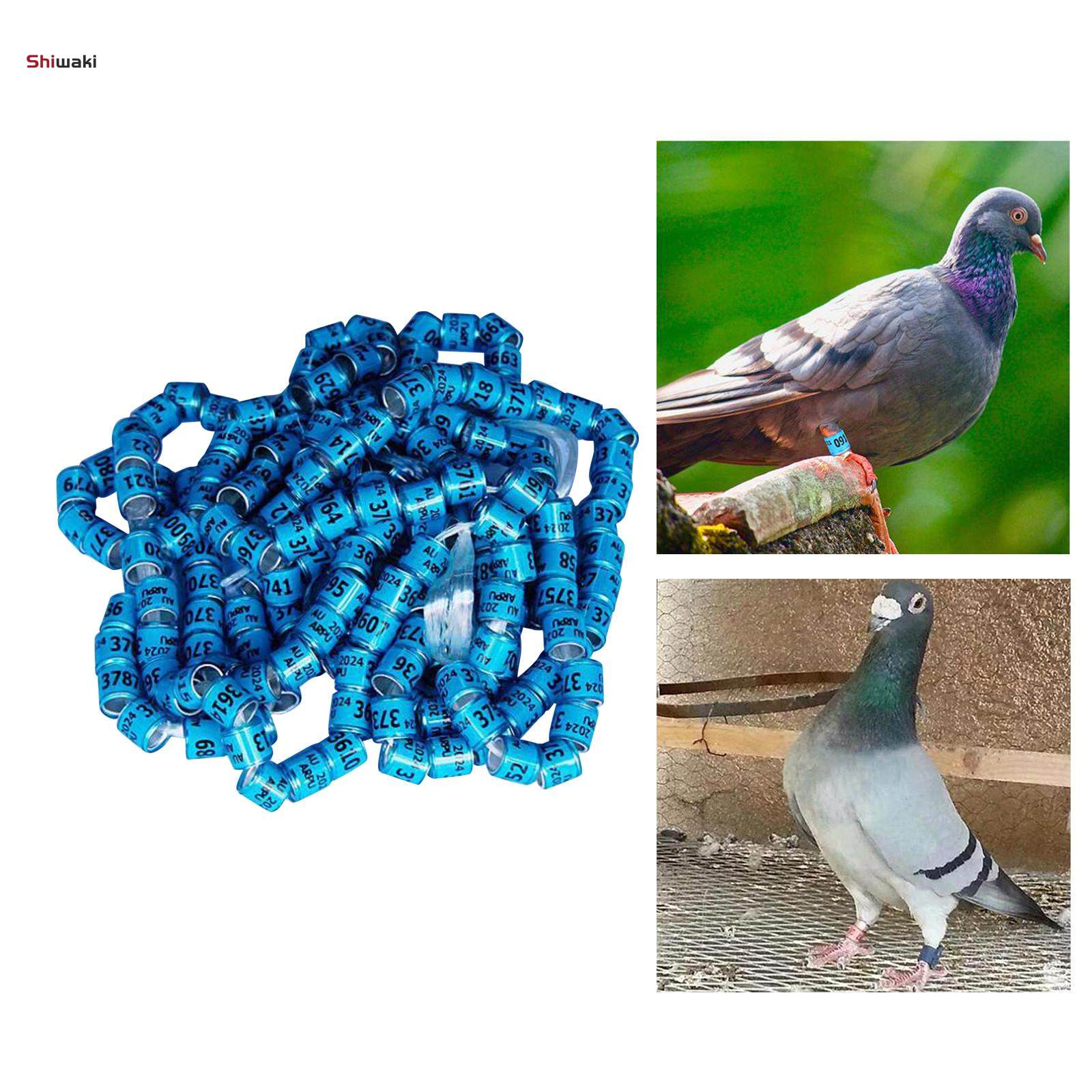 100 Pieces Pigeon Dove Leg Rings 2024 Identify Bands Sturdy Birds Foot ...