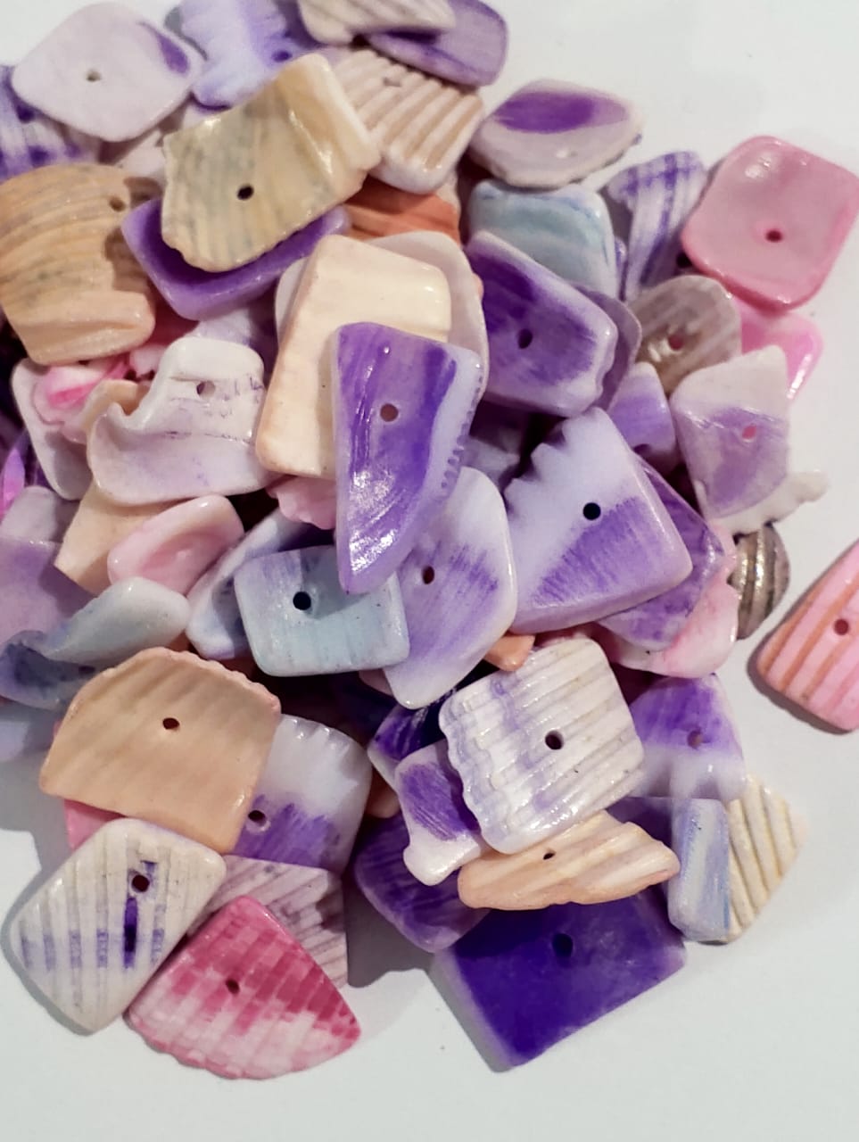 Natural Sea Shell Cuttings With Smooth Edges For DIY Crafts | 80 to 85 ...