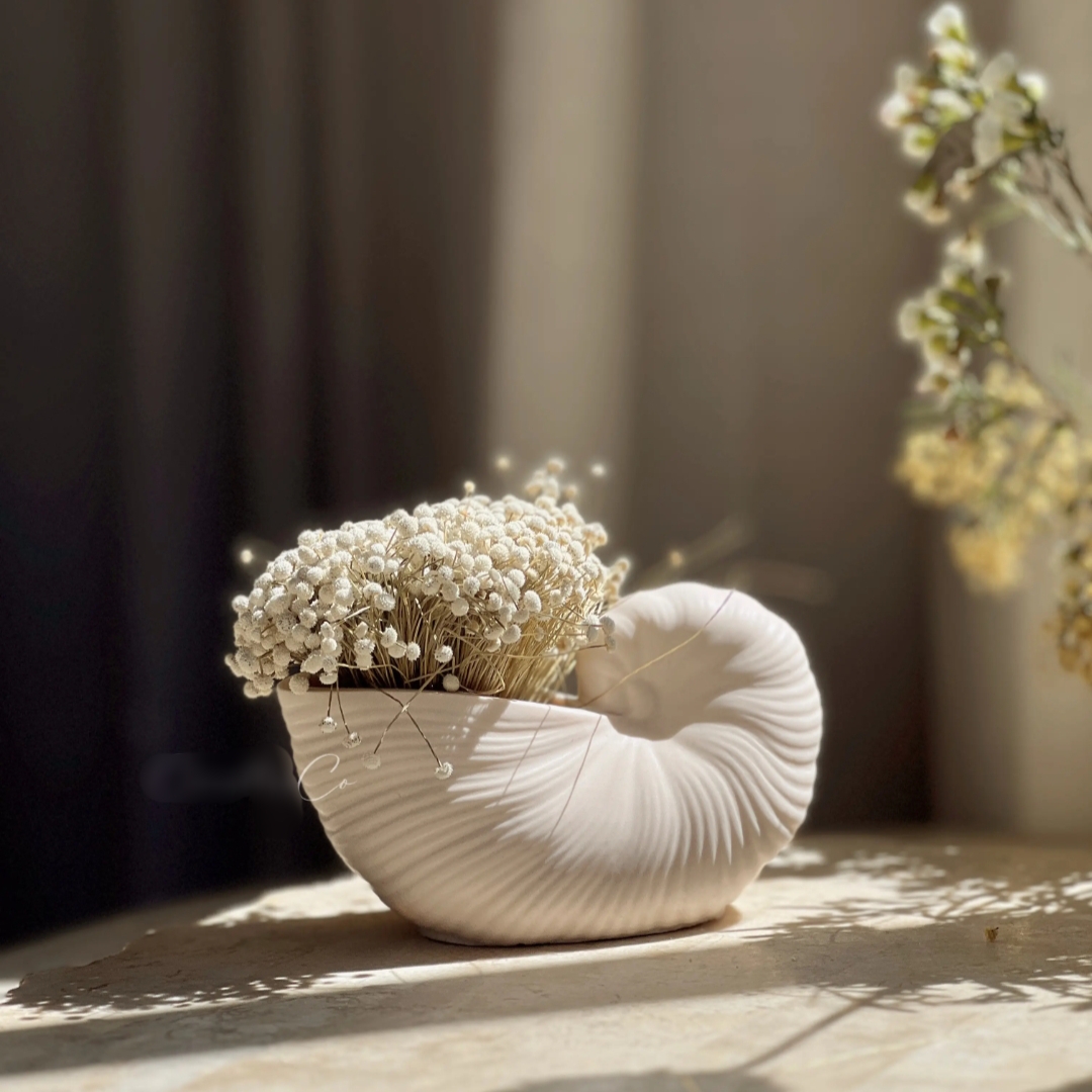 Ferm living shell pot, concrete shell vase, handmade shell vase for ...