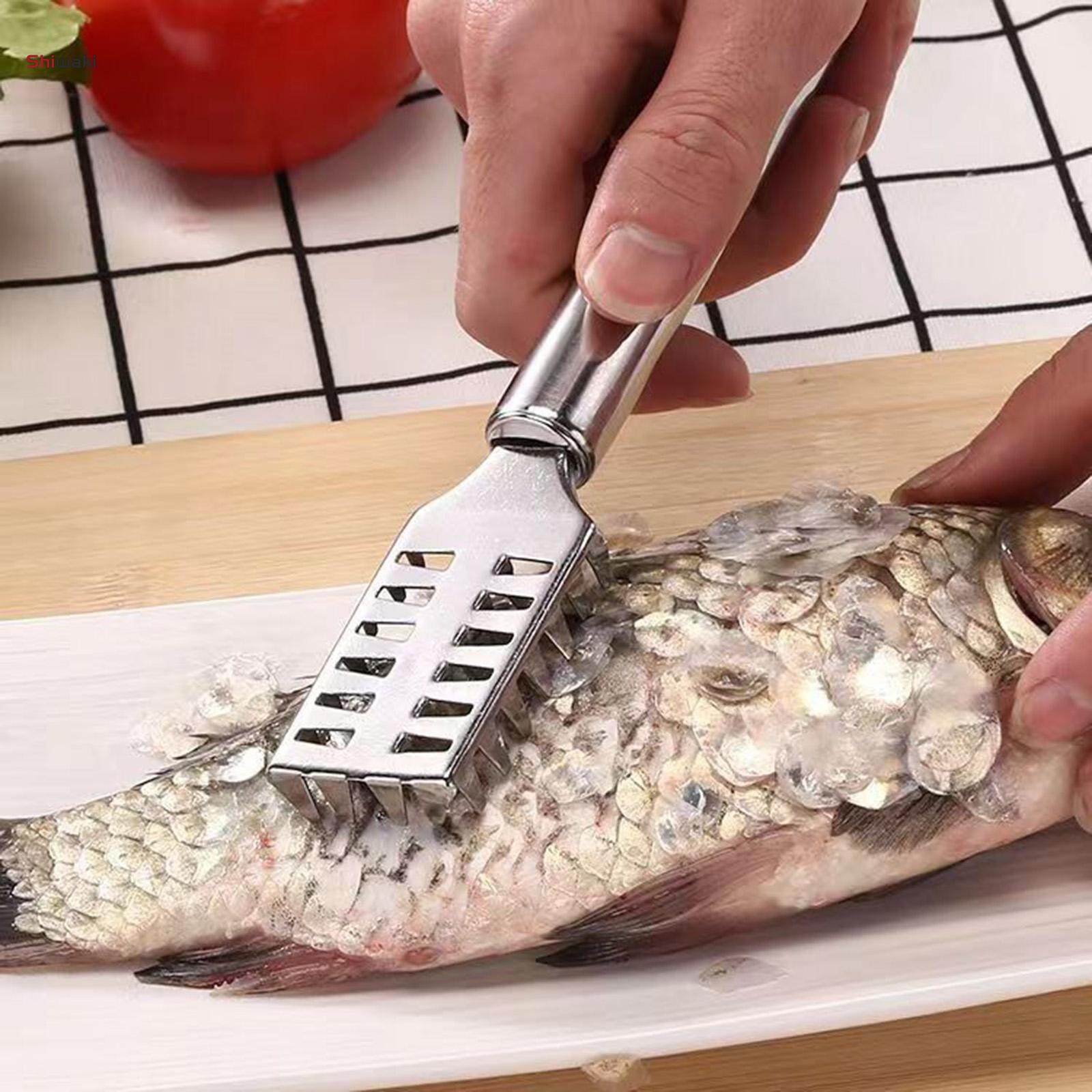Fish Scales Remover Scale Tools Tool | Daraz.pk