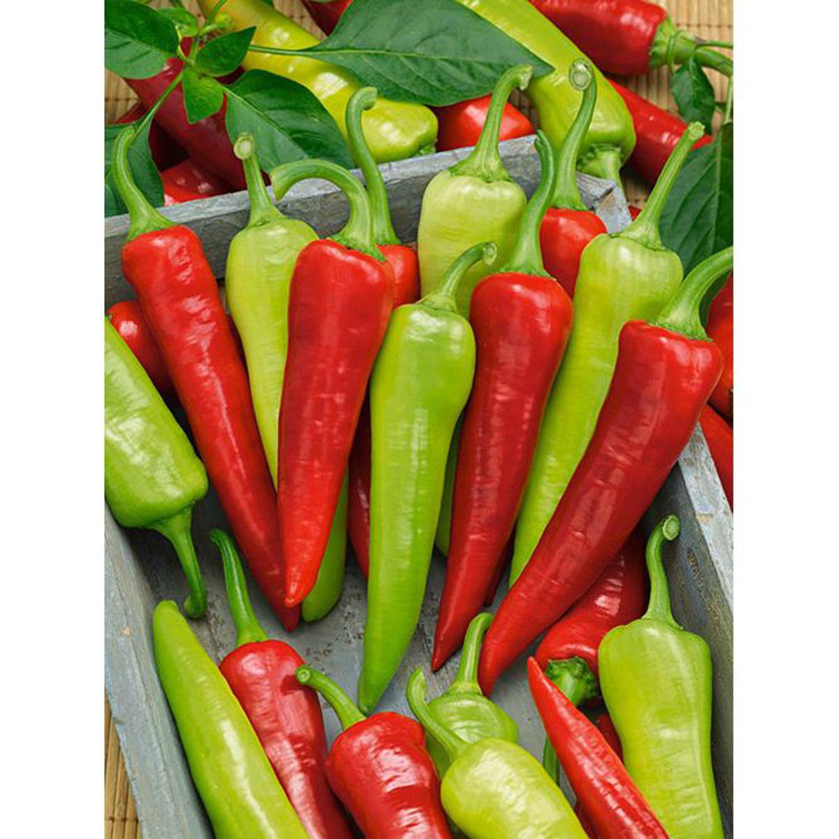 F1 hybrid long china Chilli / hari mirch seeds by LCOFs | Daraz.pk