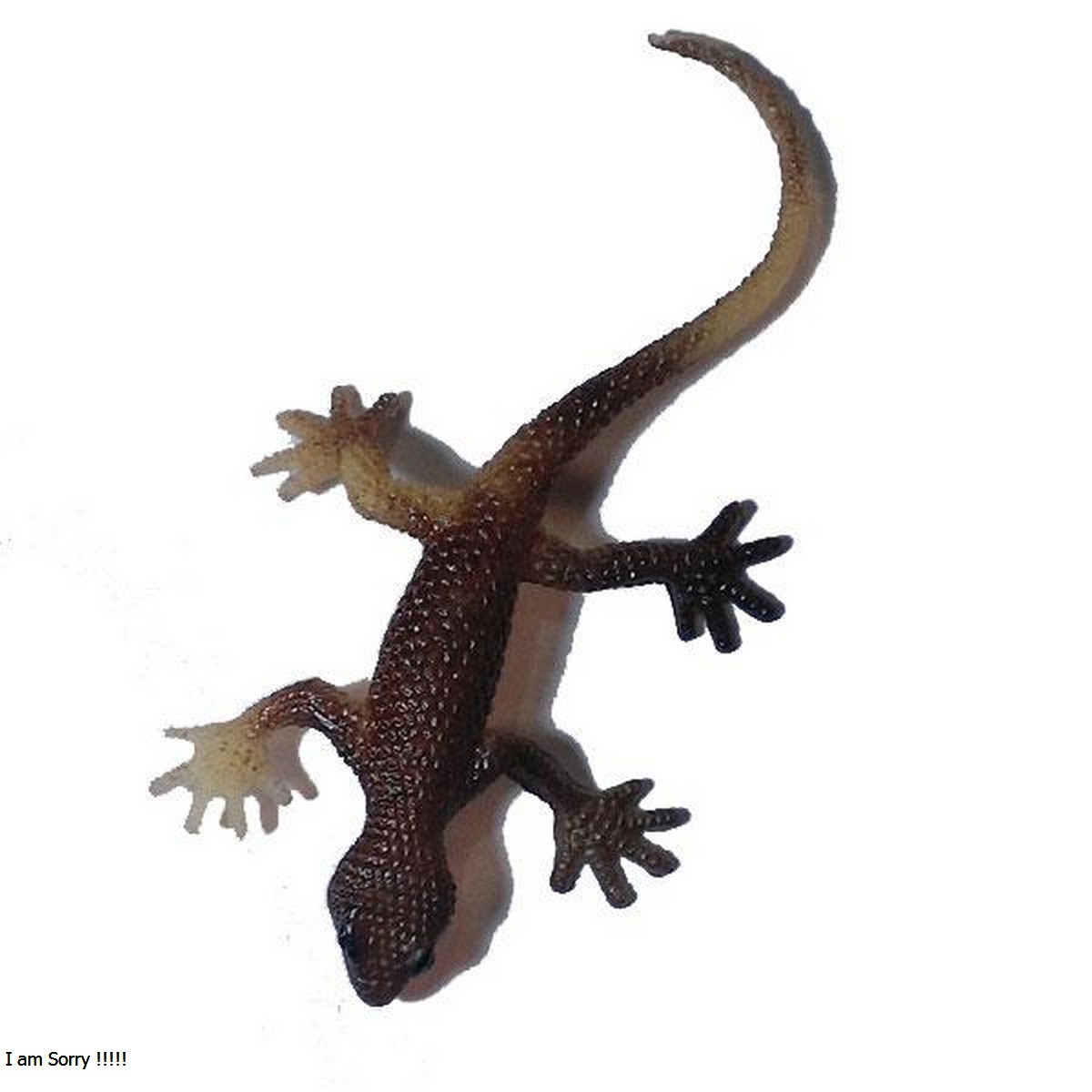 Bclub Kids Lizard - Rubber | Daraz.pk