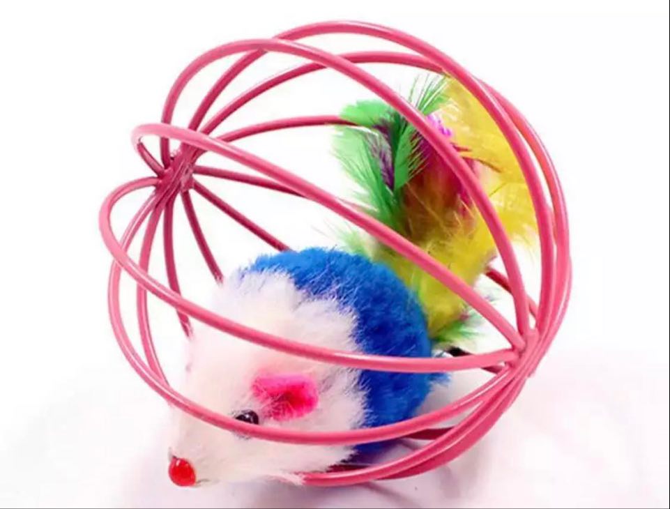 Cat Toys & Ball Mouse | Daraz.pk
