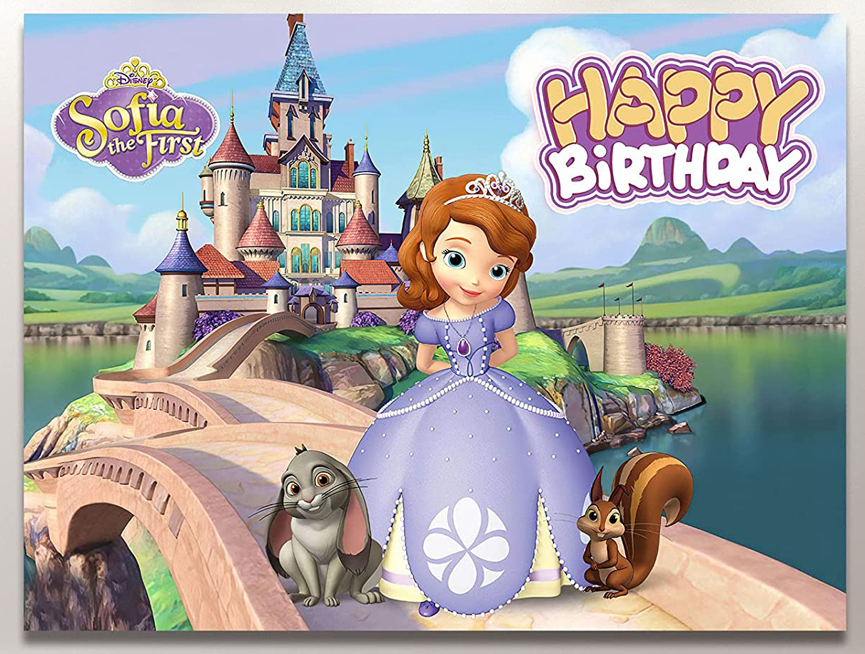 PRINCESS SOFIA THEME BIRTHDAY PARTY BANNER ( 36 INCHES X 24 INCHES ...