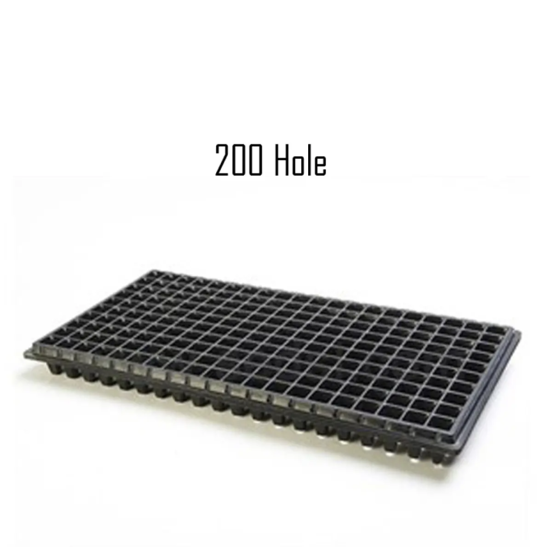 Seedlings Tray 200 holes for seeds germination, plants | Daraz.pk