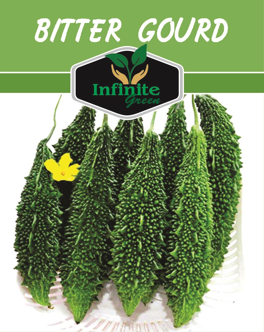 Karela (Bitter gourd ,کریلا) Desi summer Vegetable 15 seeds | Daraz.pk