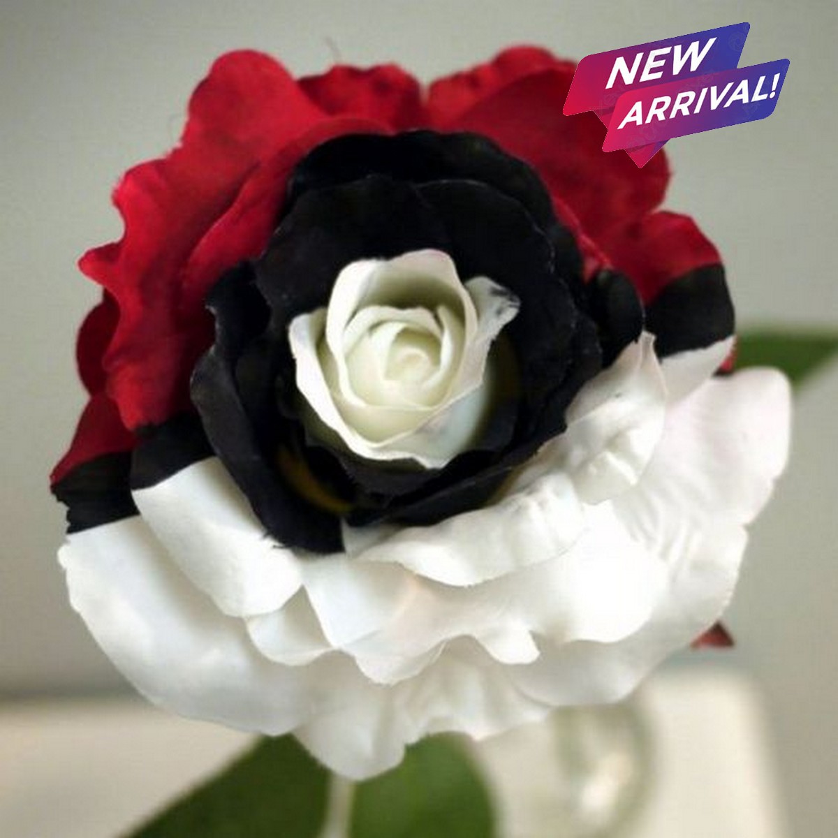 Tri Color Rose Flower Seeds | Daraz.pk